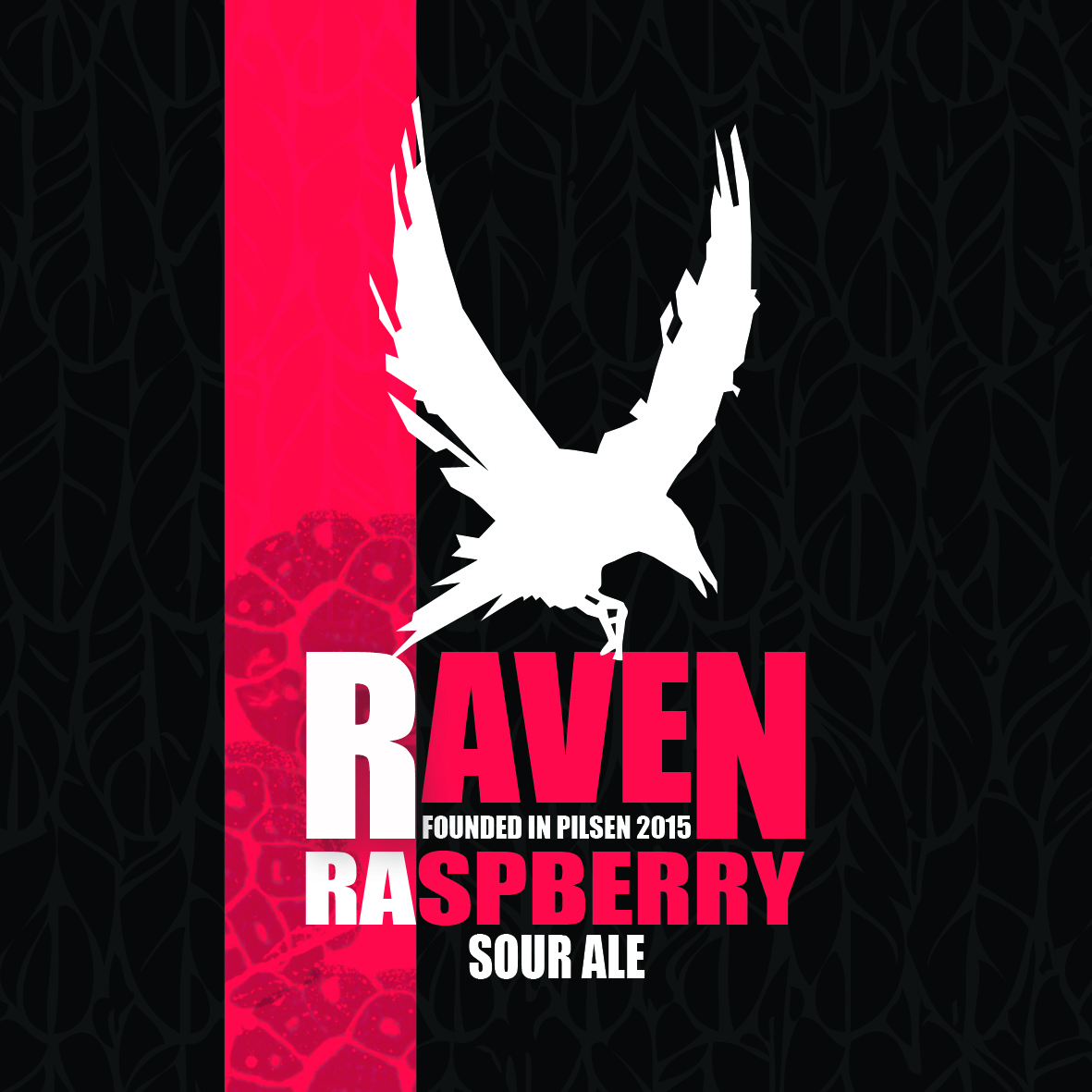 RASPBERRY | Pivovar Raven